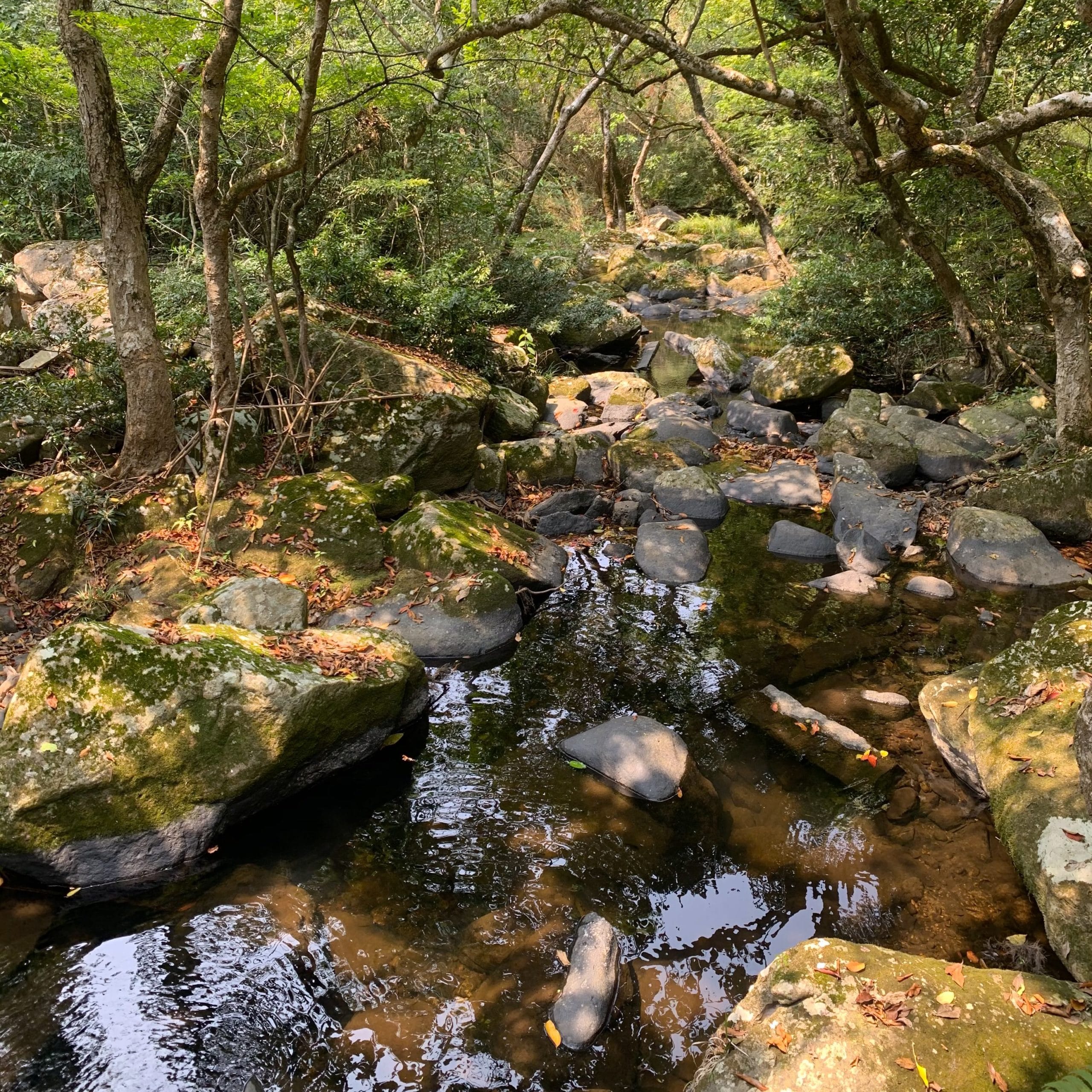 5 Less-Known Hikes To Try In Hong Kong This Summer