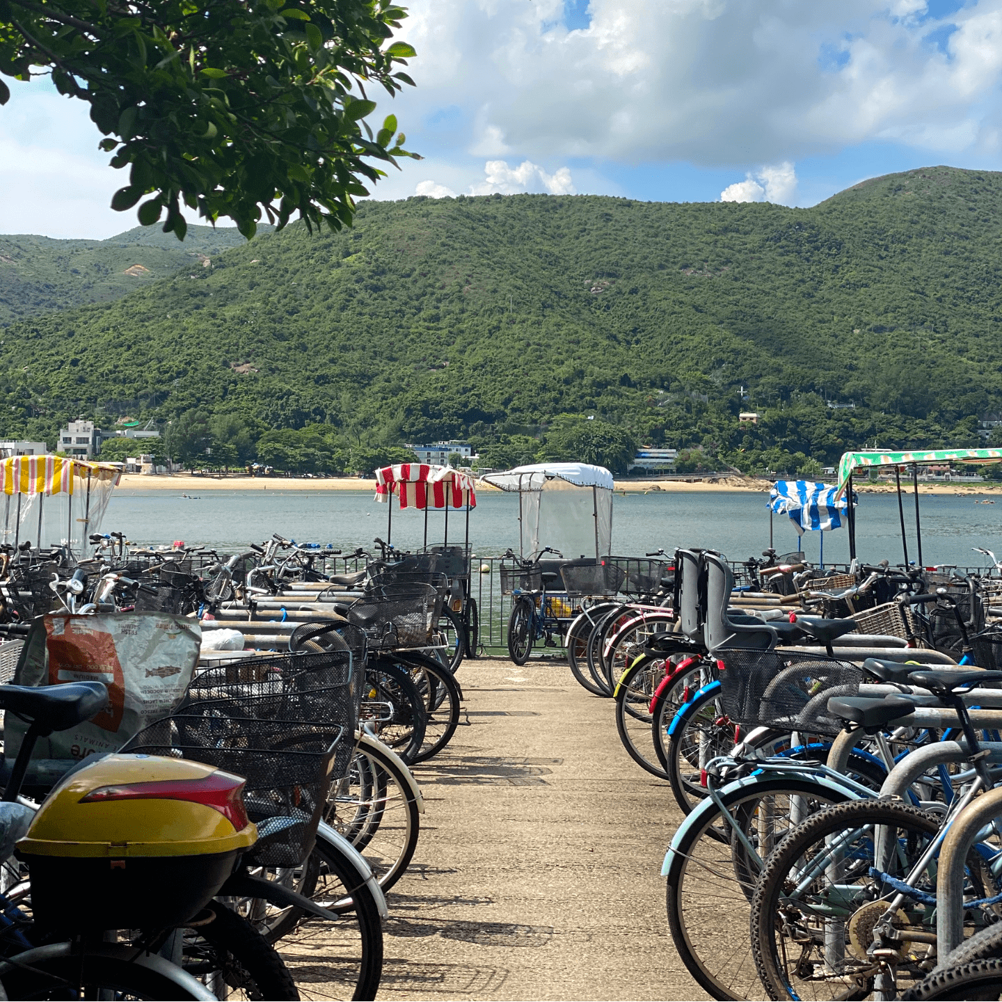 Your Neighbourhood Guide To Mui Wo: What To Eat, Drink & Do