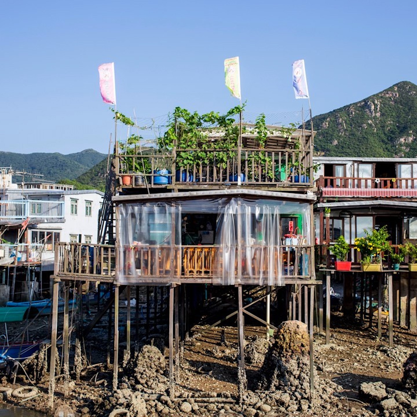 Shrimp Fishing Hong Kong