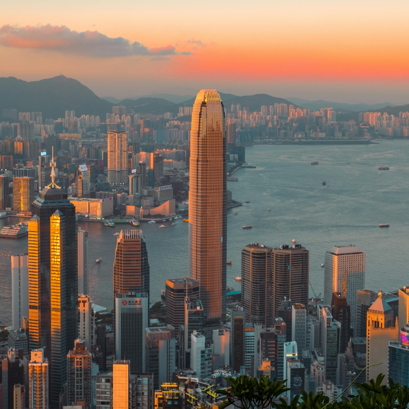 The Best Hong Kong Public Libraries To Visit