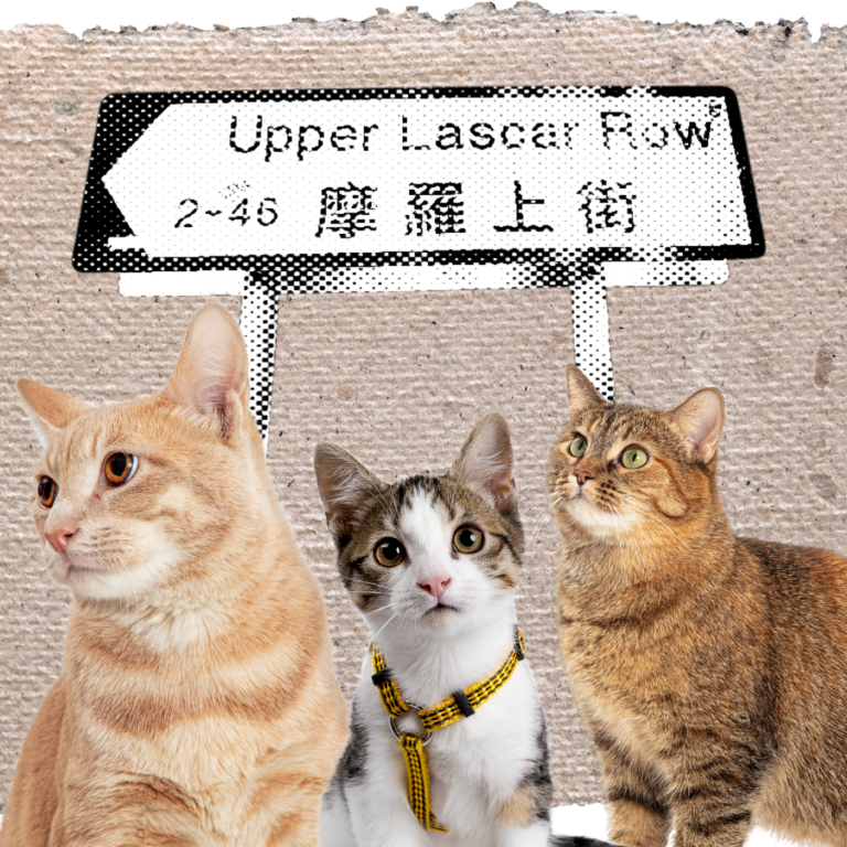 Local Hong Kong Brands You Need To Know: Fashion, Shoes & More